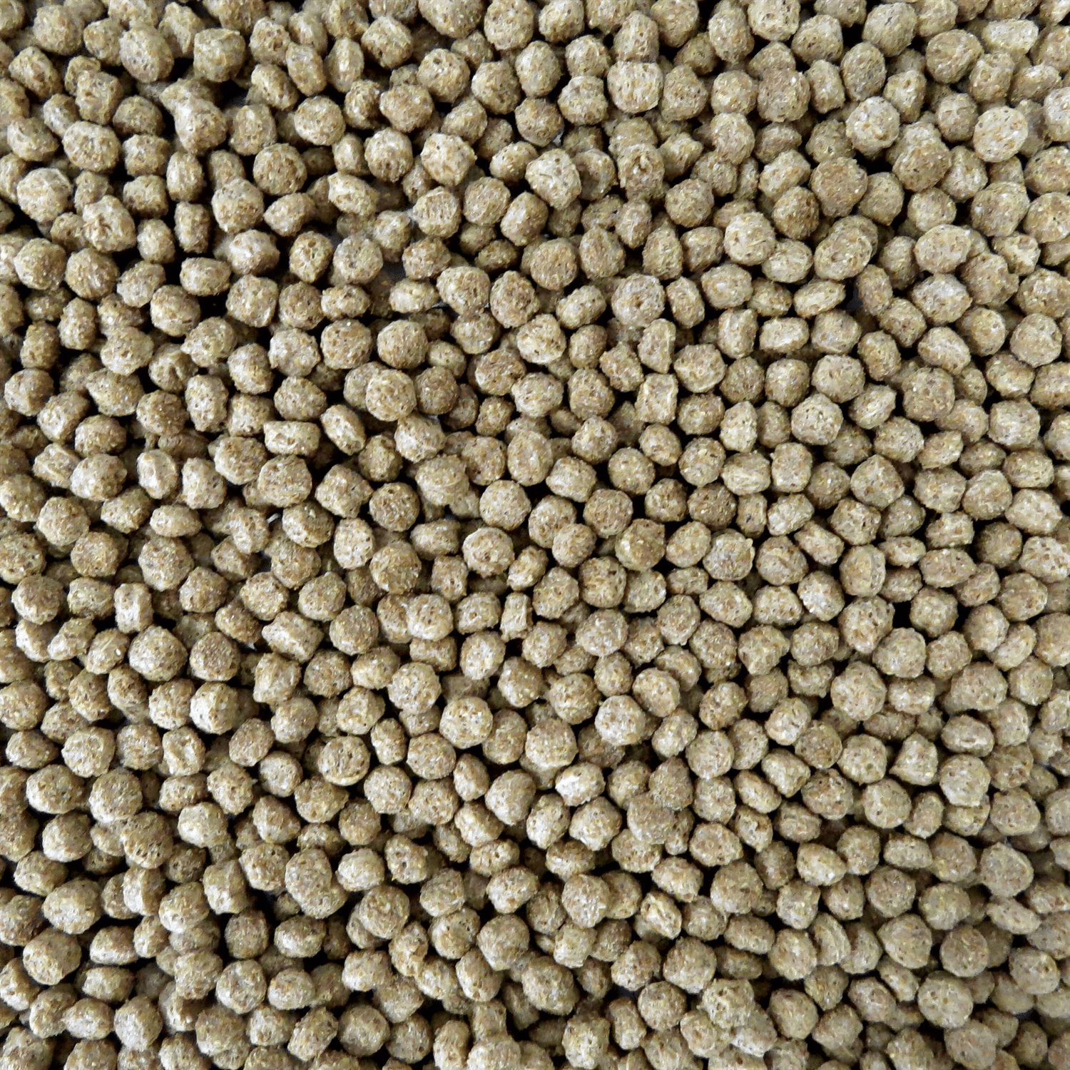 Duck Food | Floating Swan and Duck Pellets | Brinvale Bird Foods